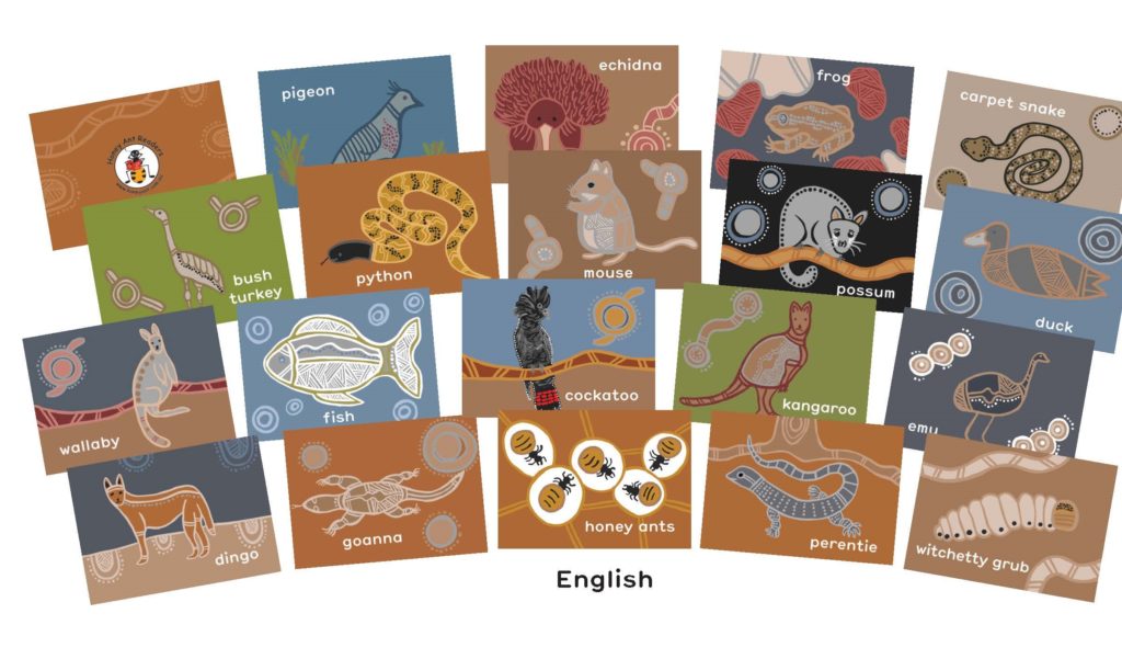 Aboriginal Animal Cards in English with DVD - Honey Ant Readers