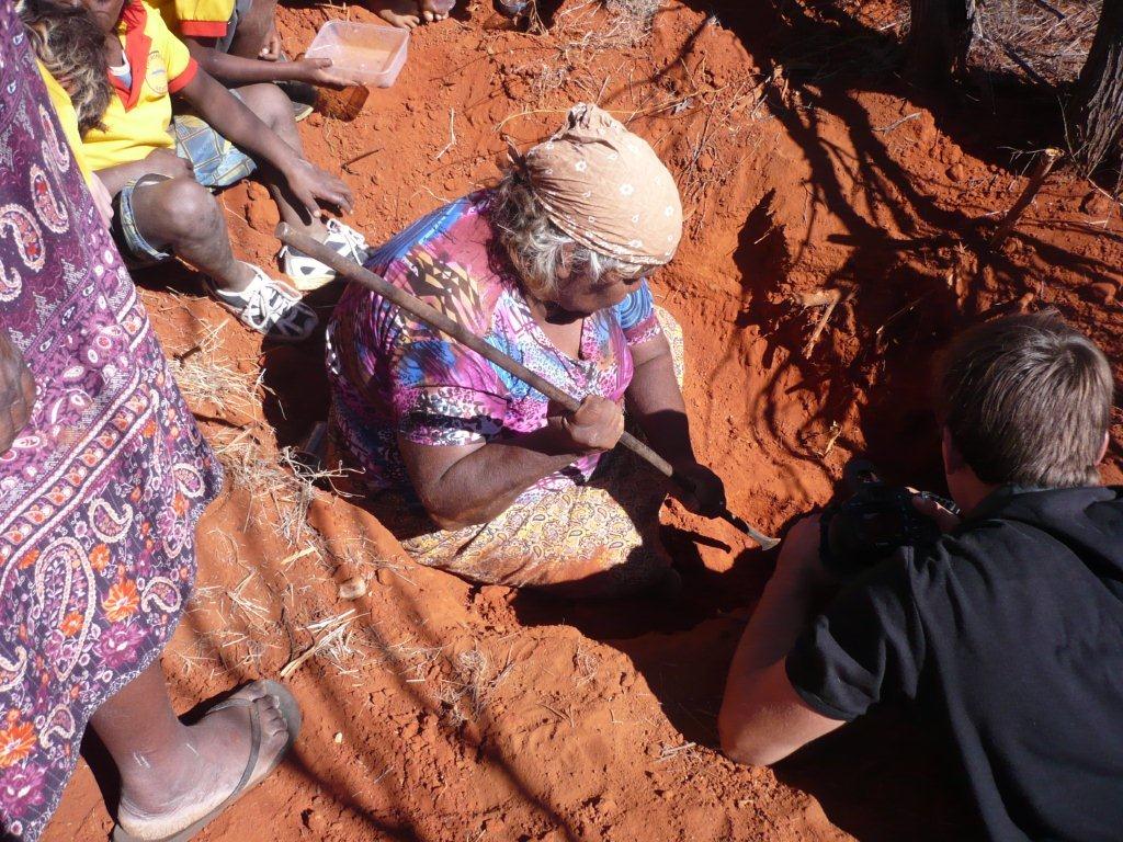 We bin digging for Honey Ants out West! - Honey Ant Readers